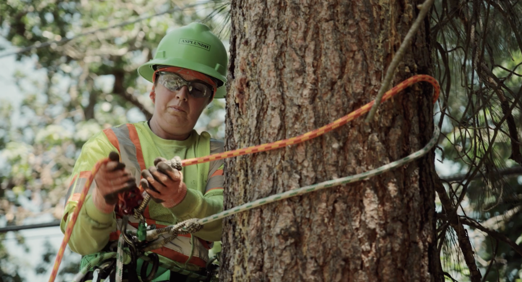 Feature: Fire Mitigation Tree Trimmers - IBEW Hour Power